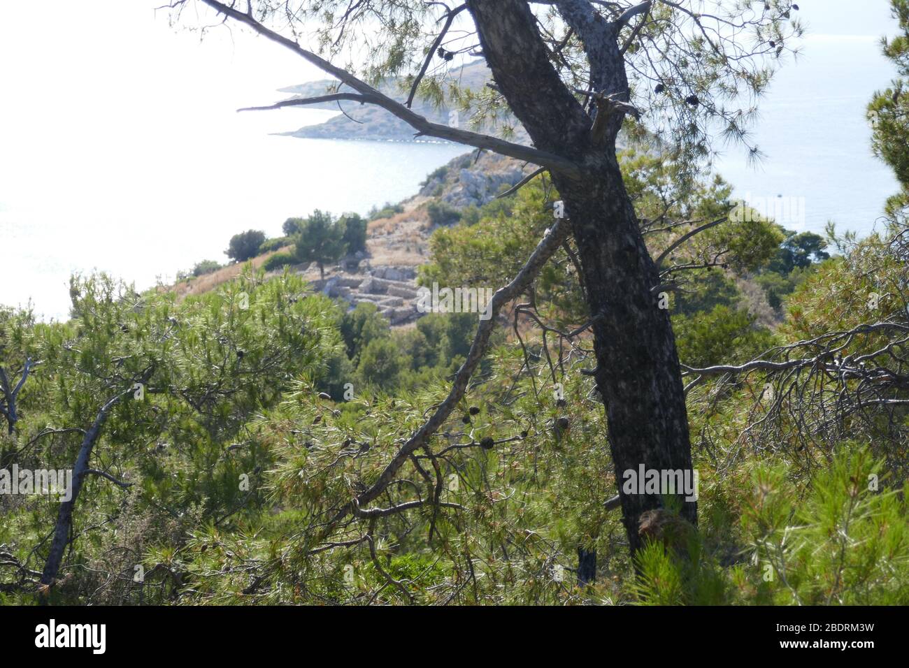 Salamis greece ajax hi-res stock photography and images - Alamy