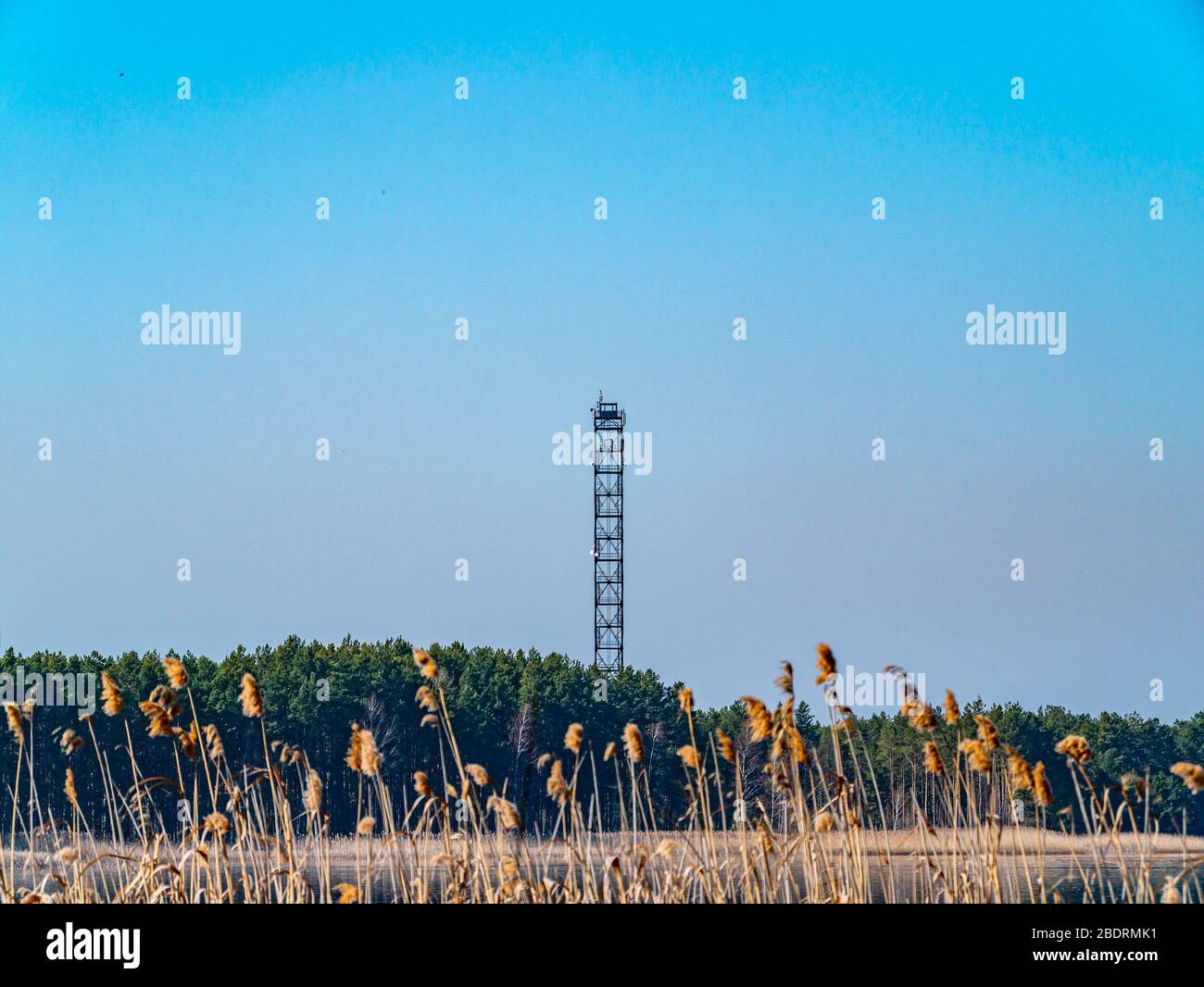 Fire observation tower in the forest against a blue sky. Help ...