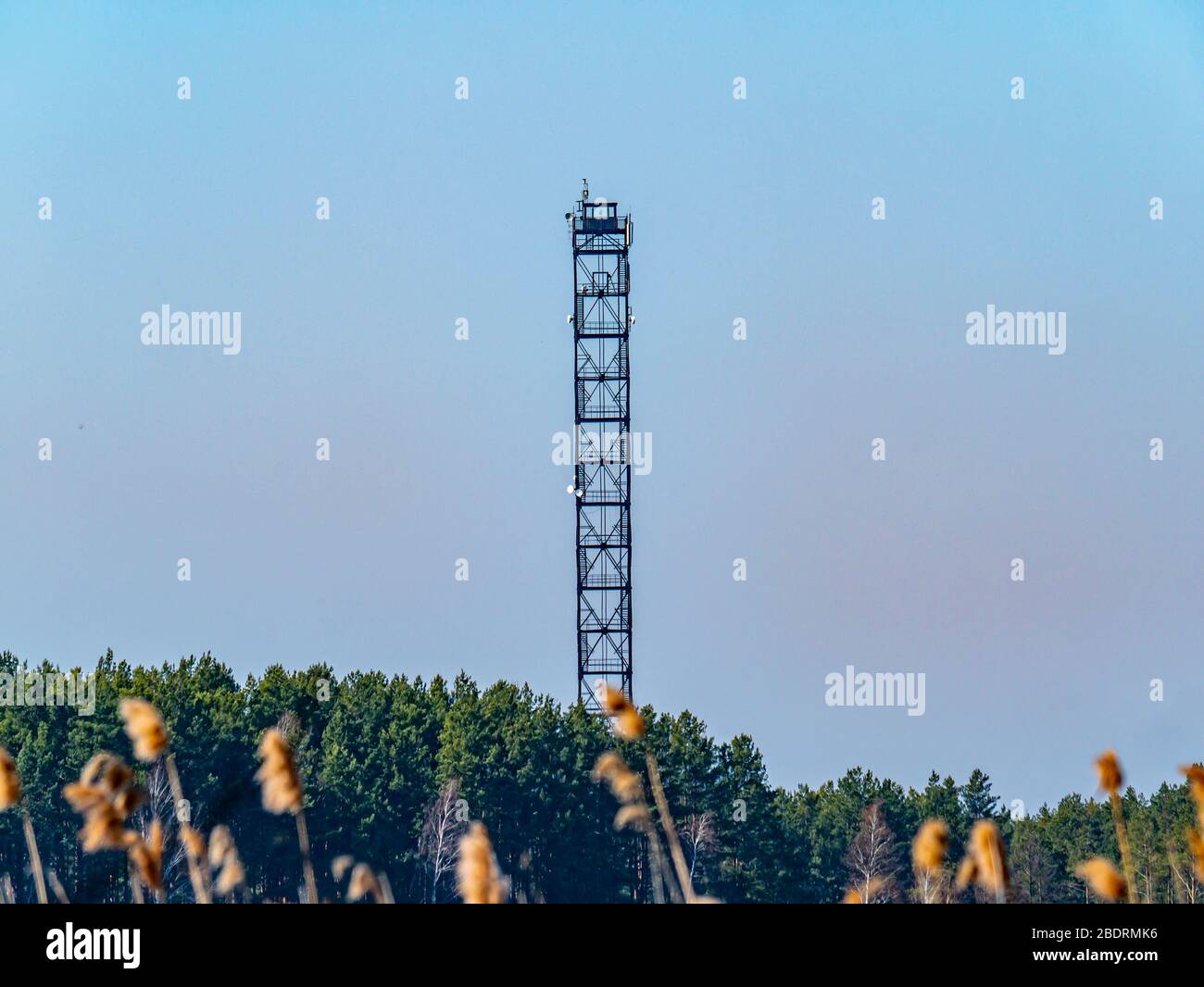 Fire observation tower in the forest against a blue sky. Help ...