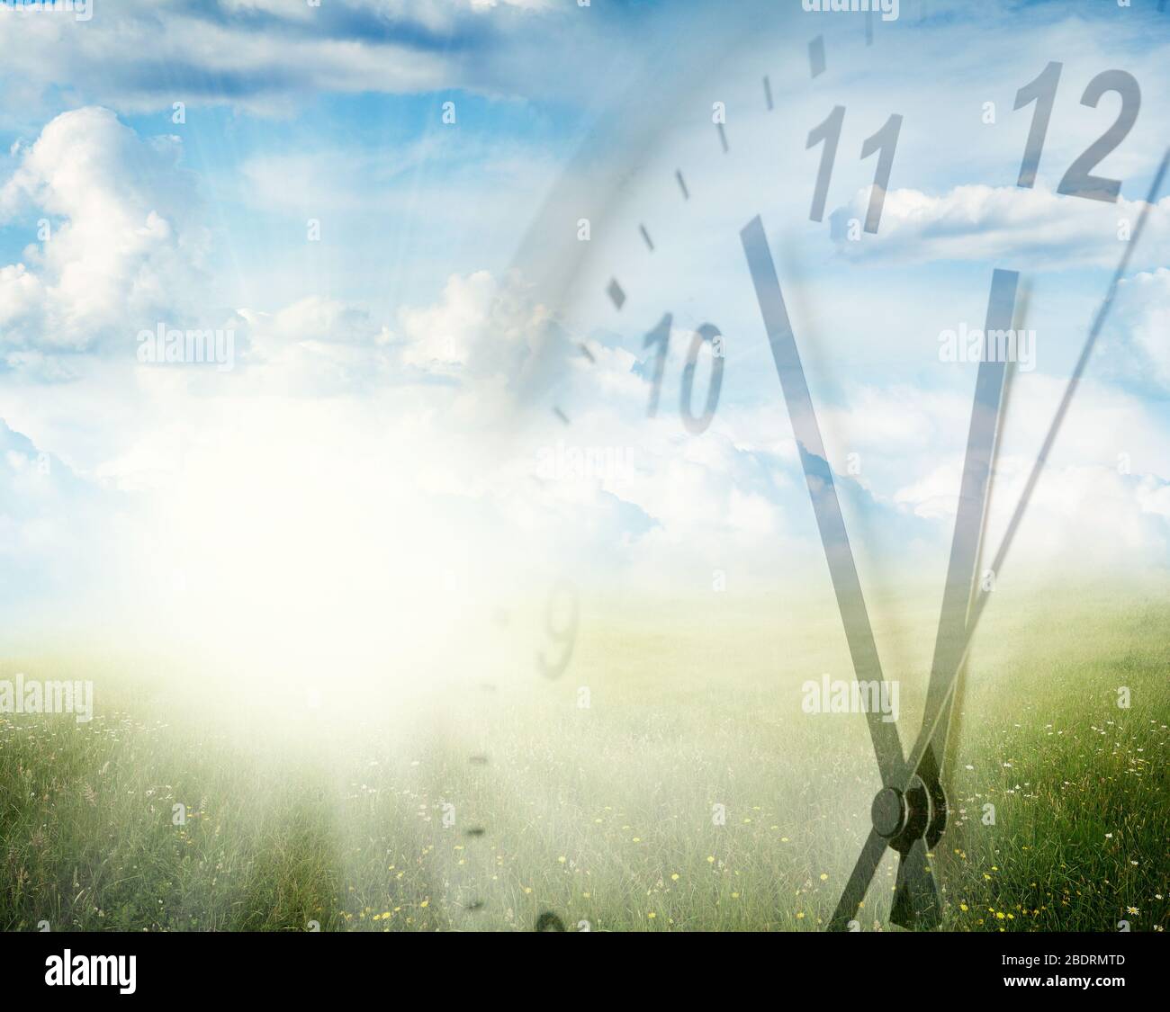 Clock grass hi-res stock photography and images - Alamy