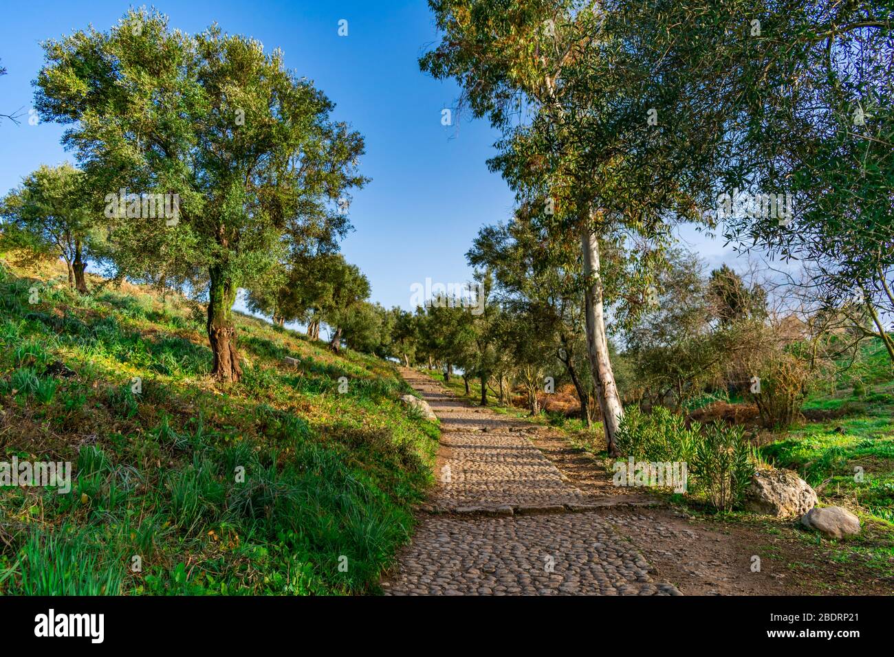 Roman path hi-res stock photography and images - Alamy