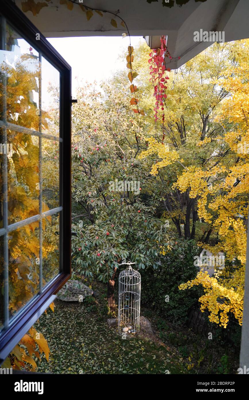 Fall from the window on the beautiful scenery in the garden Stock Photo ...