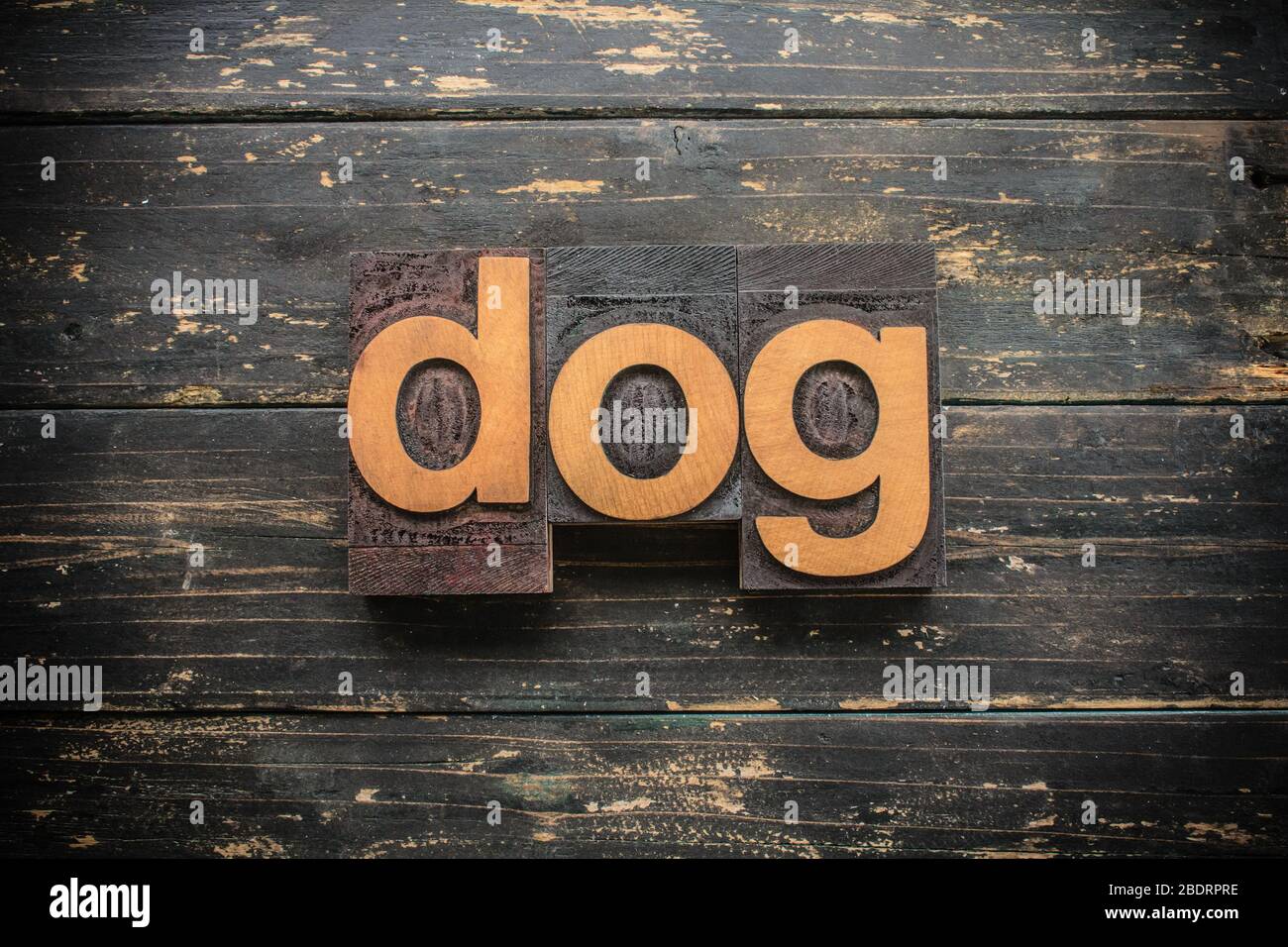 The word "DOG" written in vintage wood letterpress type on a vintage ...