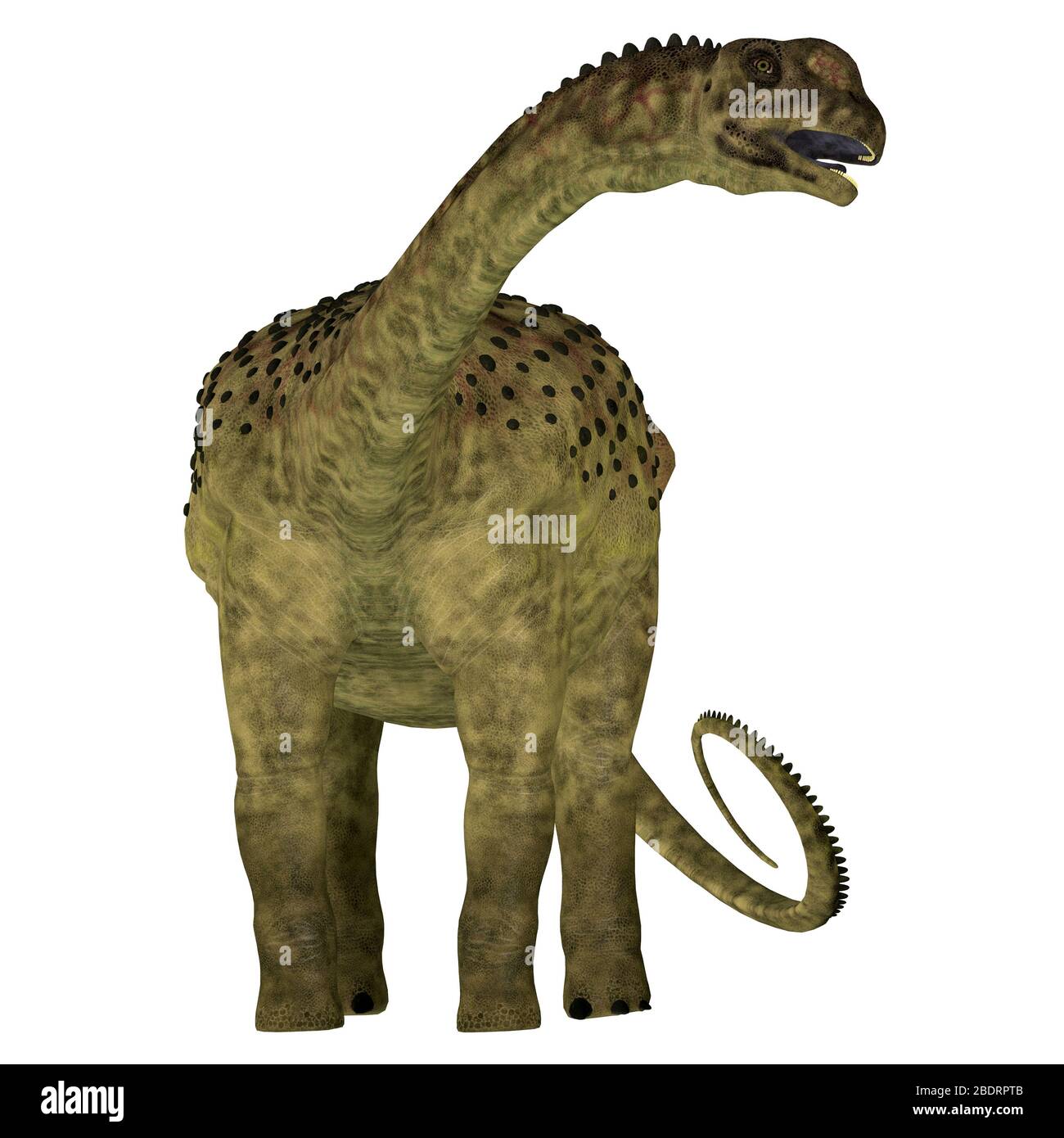 Uberabatitan was a herbivorous sauropod dinosaur that lived in Brazil ...