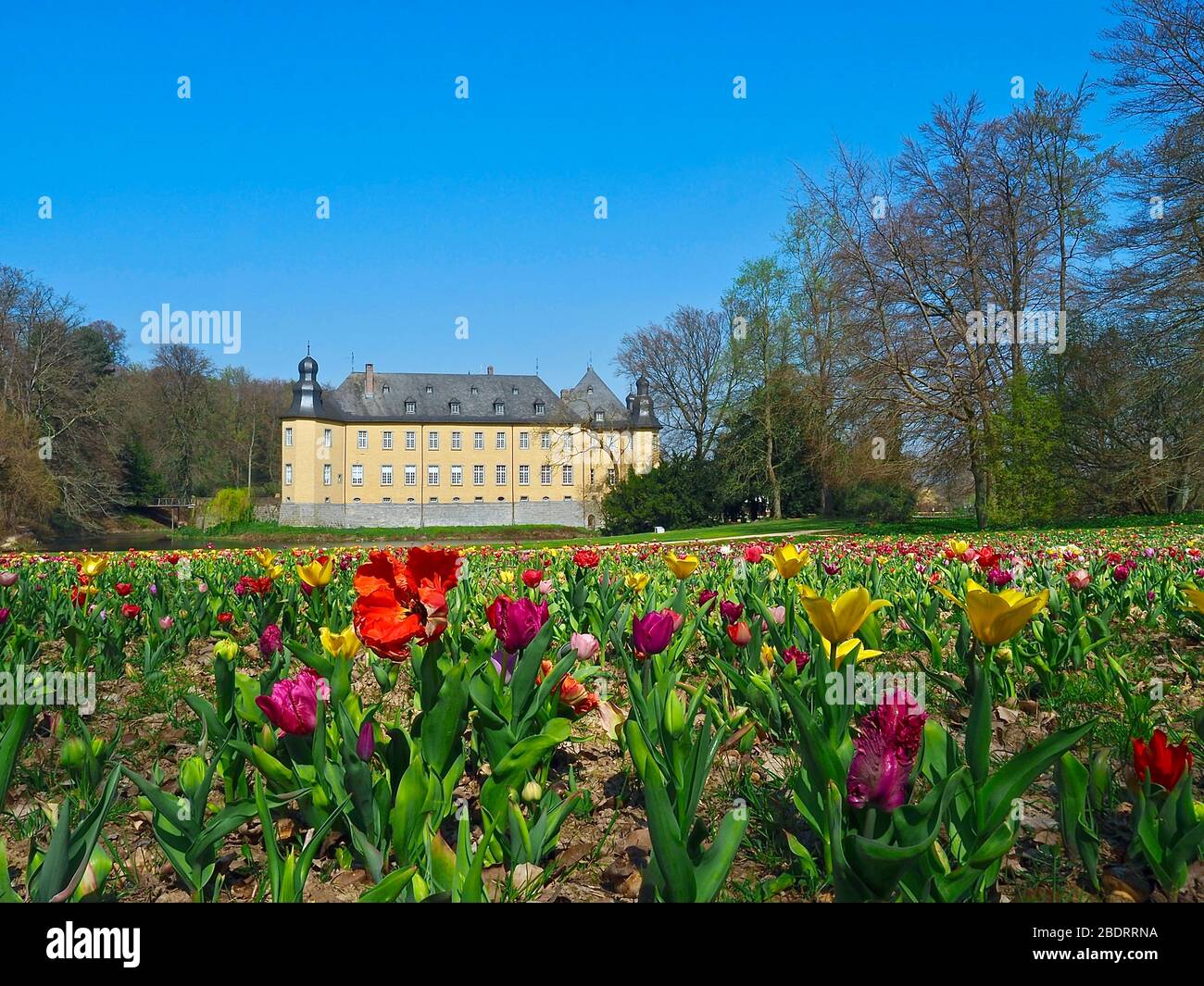 German castle grounds hi-res stock photography and images - Alamy