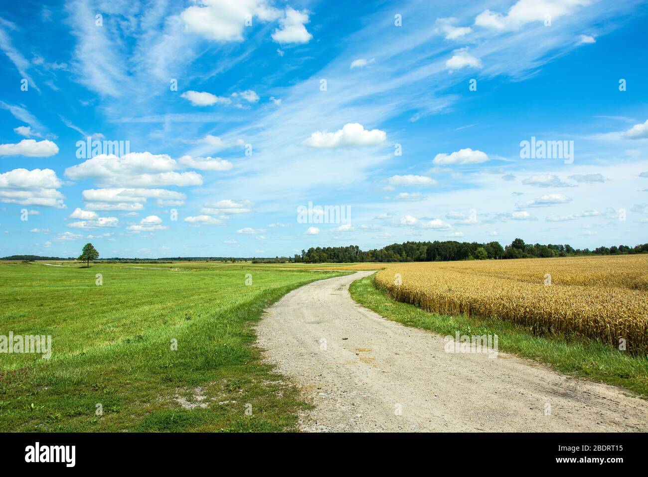 Rural country scene path winding hi-res stock photography and images ...