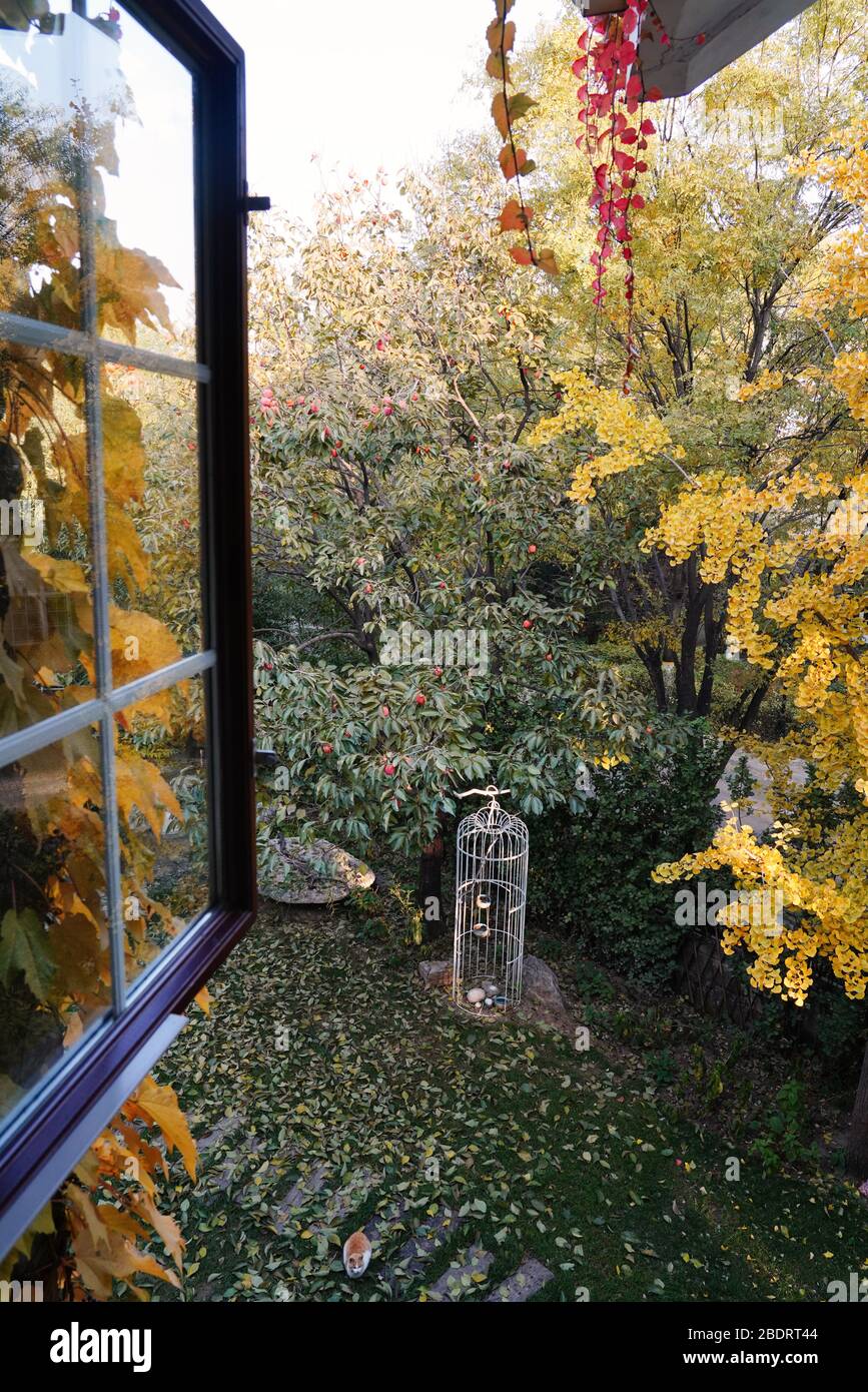 Fall from the window on the beautiful scenery in the garden Stock Photo ...