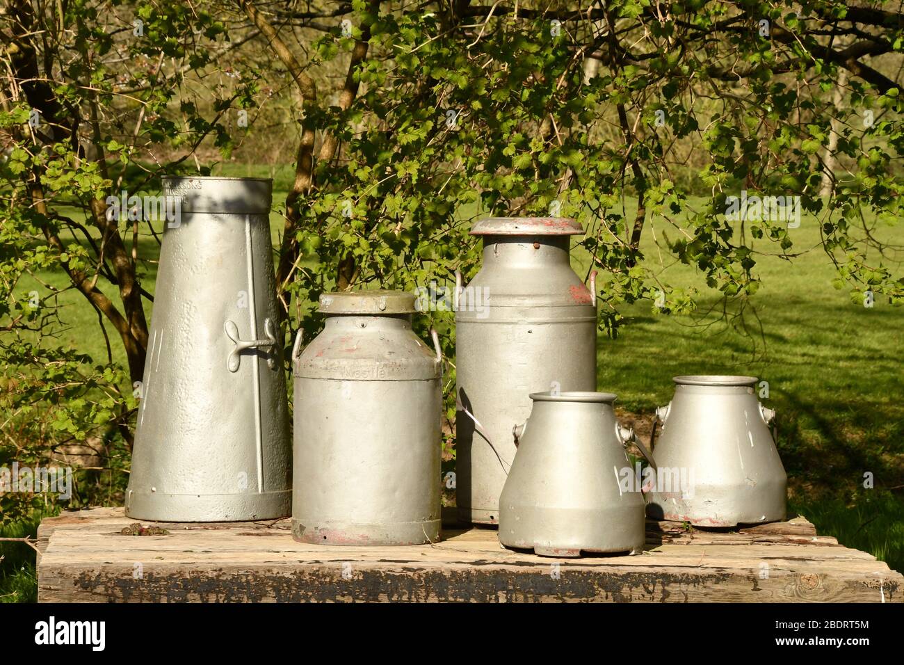 Milk churns farm hi-res stock photography and images - Alamy