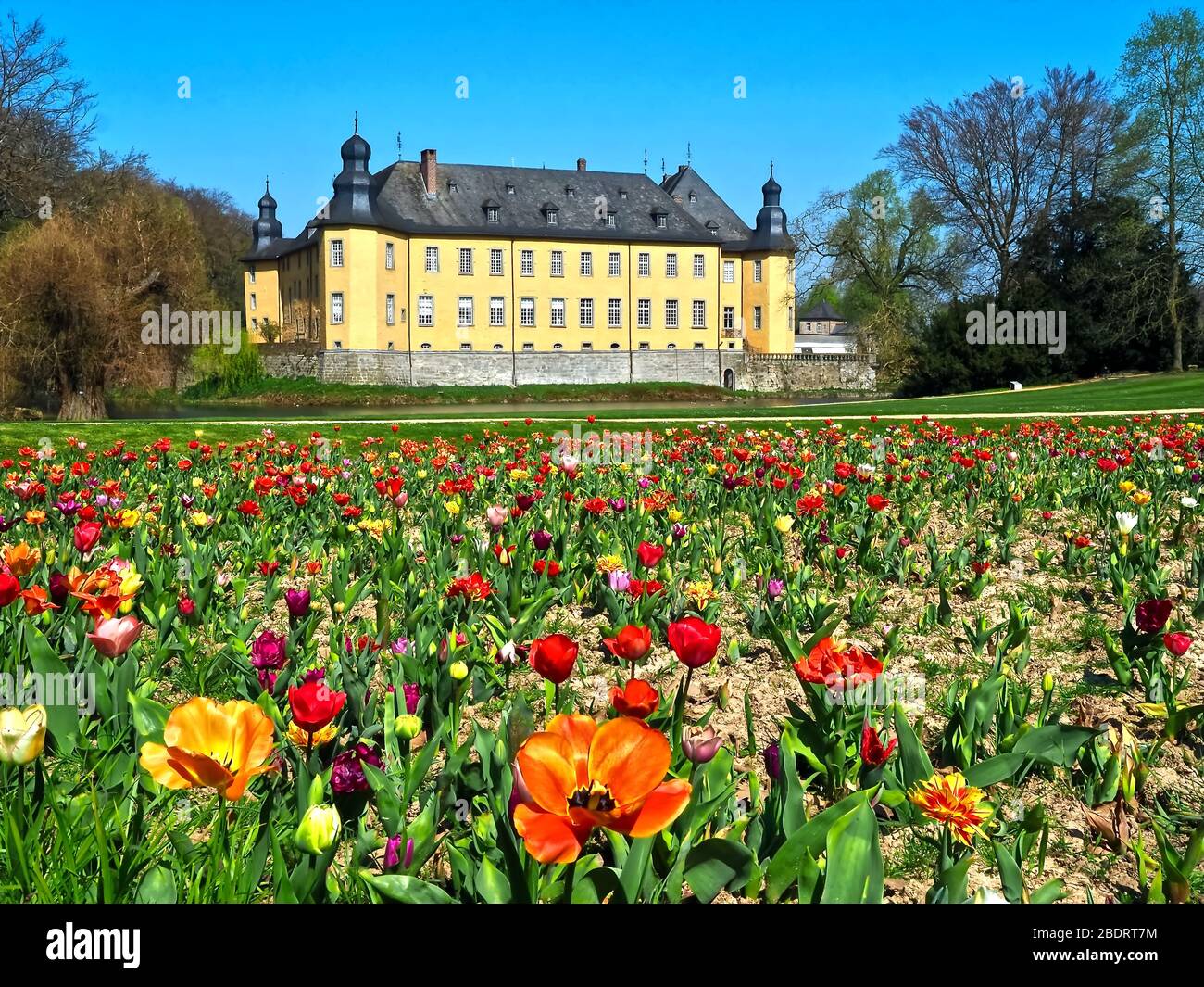 German yellow water castle Schloss Dyck in spring Stock Photo - Alamy