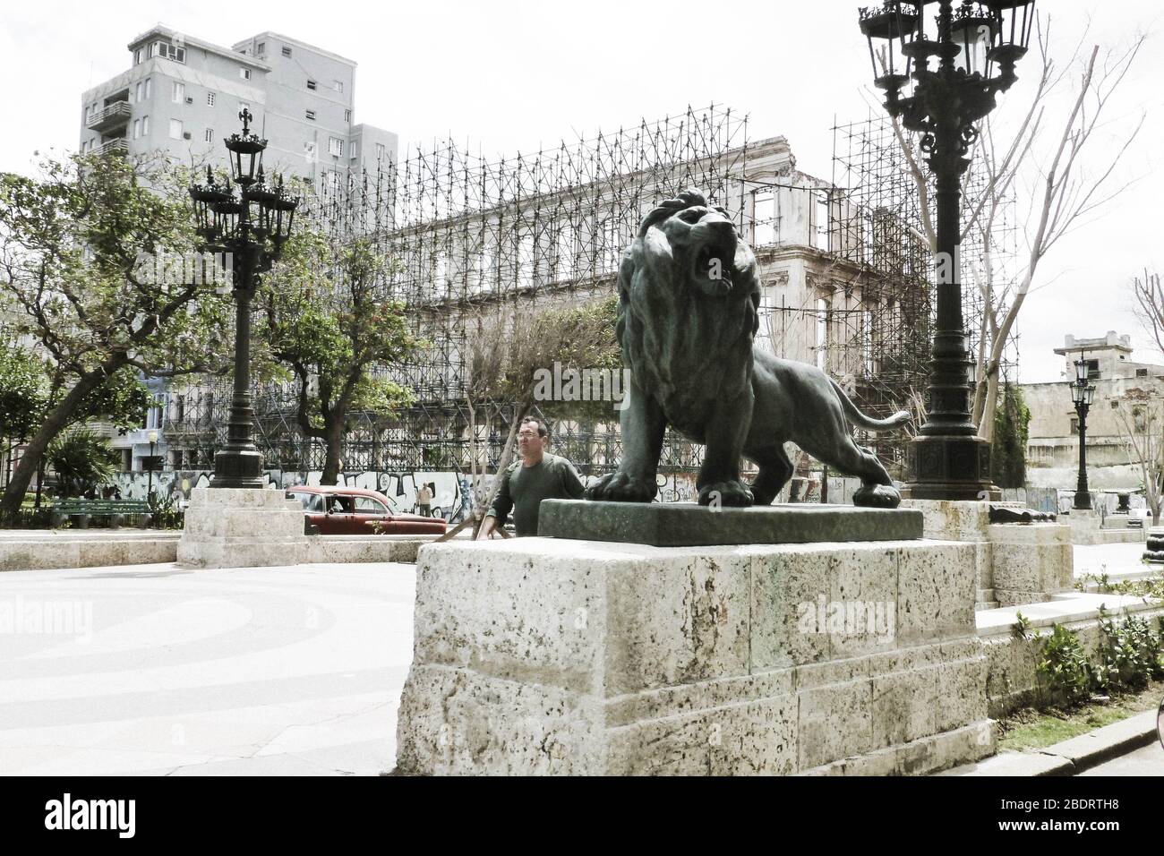 lion on plinth in Havana Cuba street lights lamp perched concrete work ...