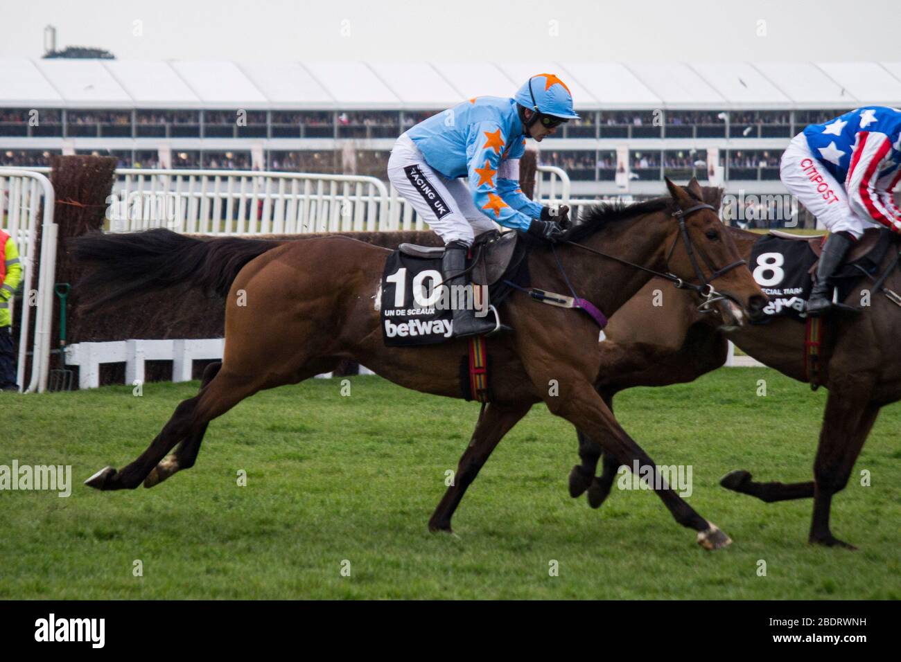 Ruby walsh hi-res stock photography and images - Alamy
