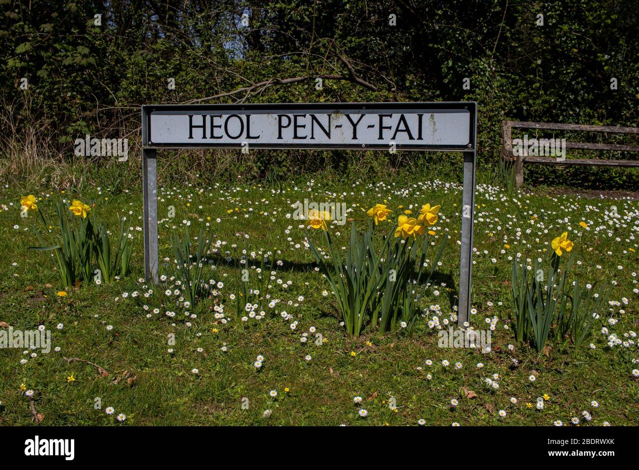 A view of Pen-y-Fai, Bridgend. Lewis Mitchell Stock Photo - Alamy