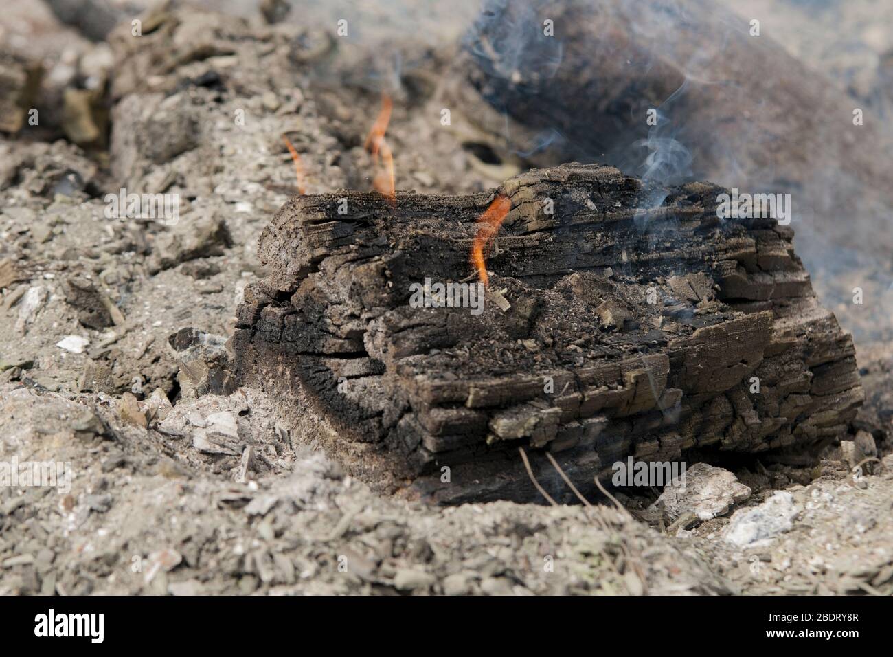Image of a small fire burning on a smoking piece of wood. White ash ...