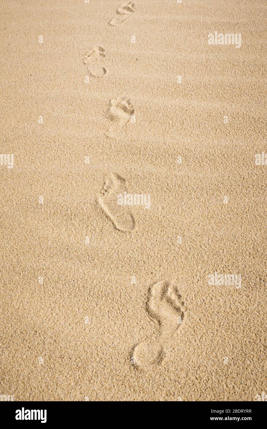 Footprints on yellow sand on a hot summer day. Human footsteps on Sylt ...