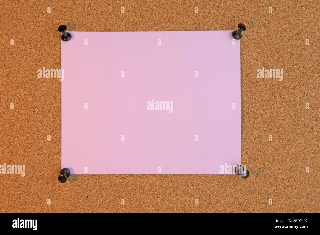Pink flash hi-res stock photography and images - Alamy