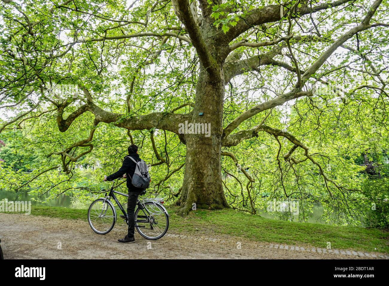 Bicycle cruising in Bruges public parks takes us to this wonderful old ...