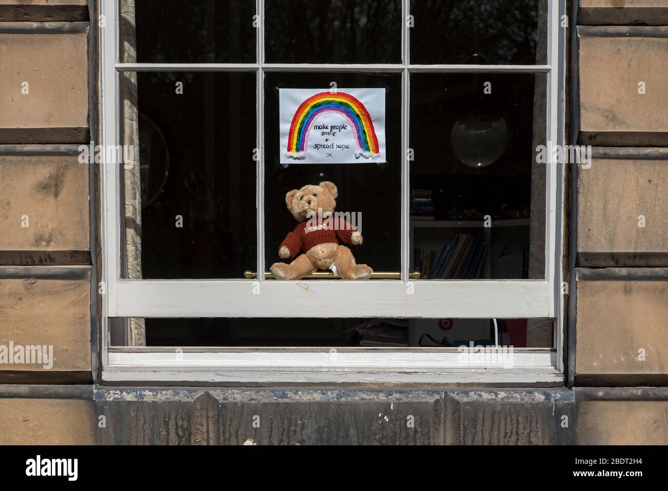 Rainbow bear hi-res stock photography and images - Alamy