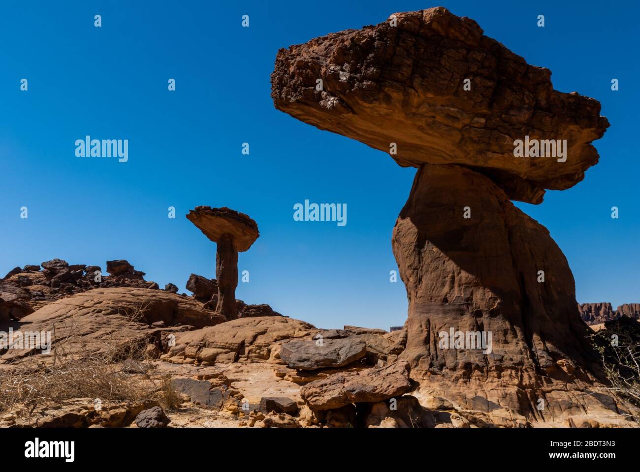 Sandstone towers in form of mushroom in the Ennedi desert of Chad ...