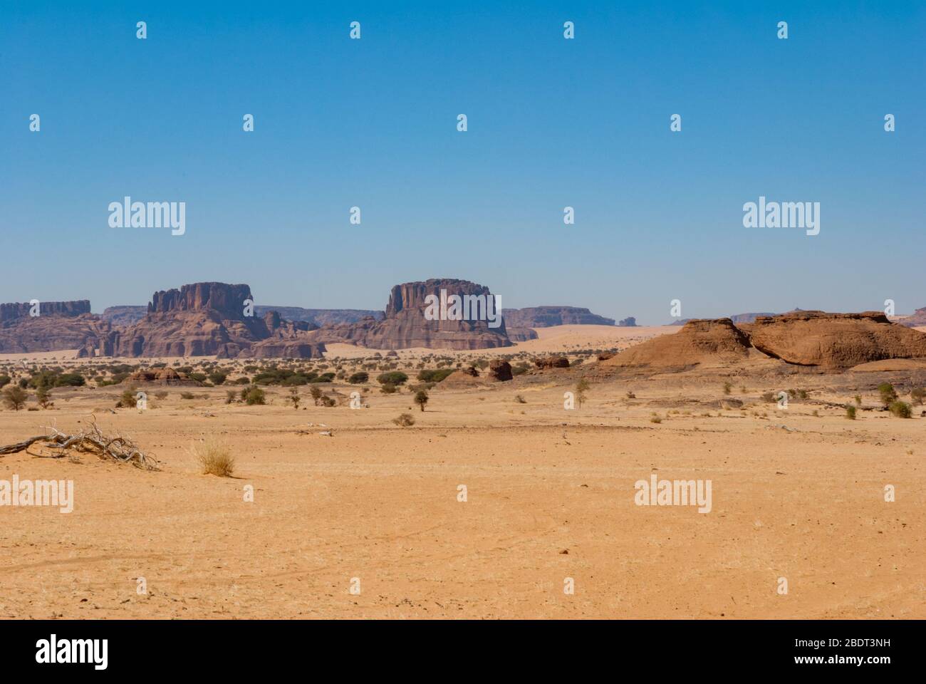 Rock formation and desert vegetation, Sahara dessert, Chad, Africa ...