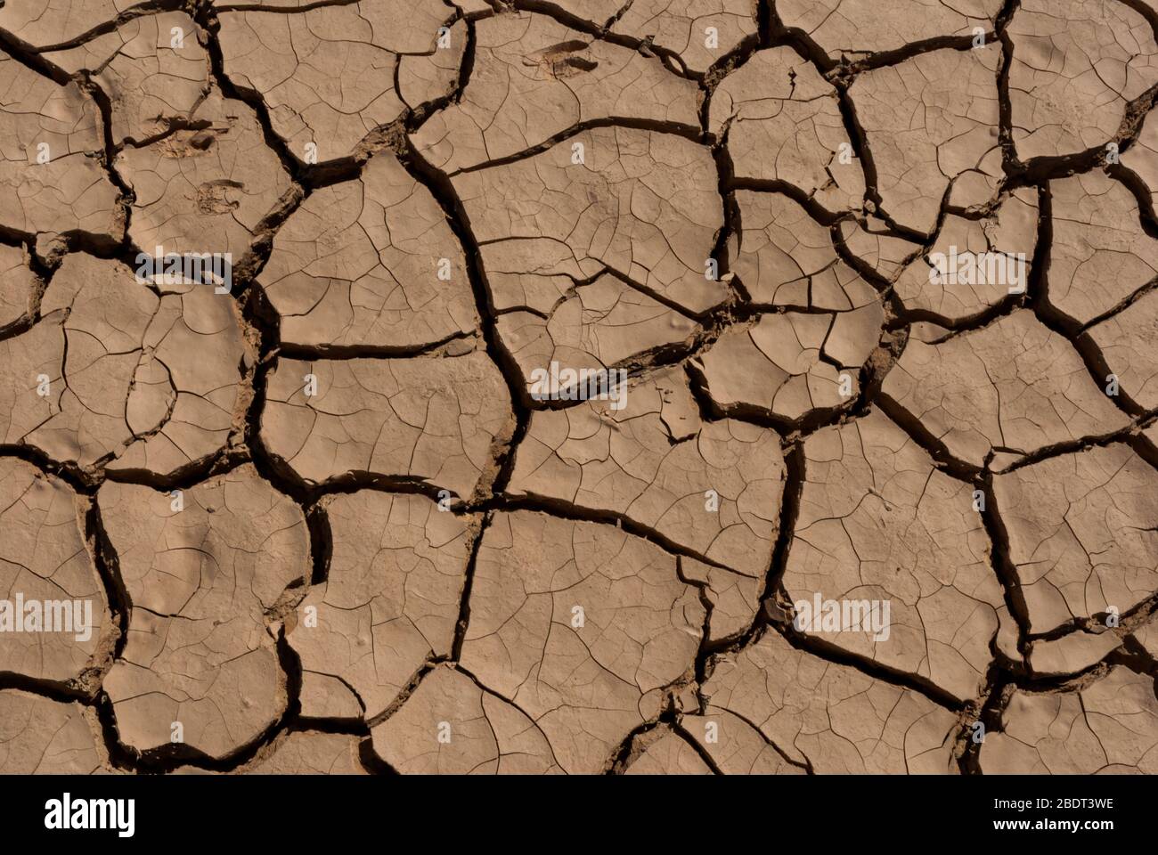 Desert dry and cracked ground, Chad. Africa Stock Photo - Alamy
