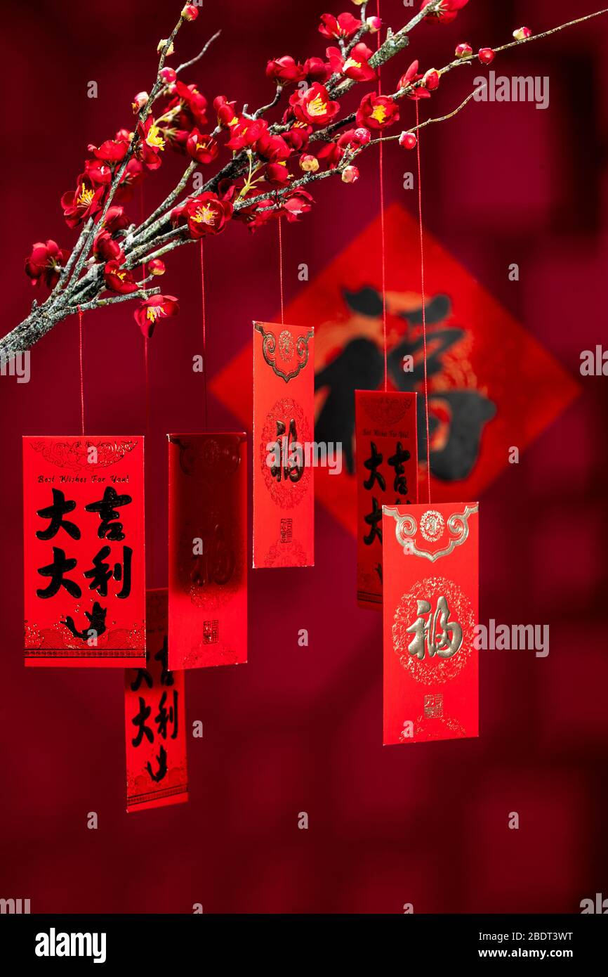 Red envelopes of hanging under the plum blossom Stock Photo - Alamy
