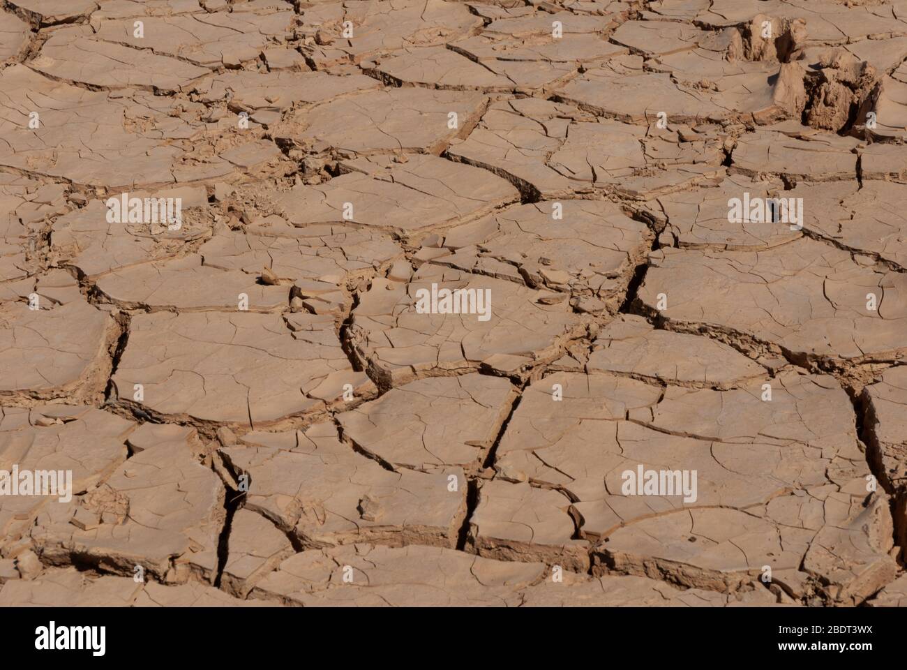 Desert dry and cracked ground, Chad. Africa Stock Photo - Alamy