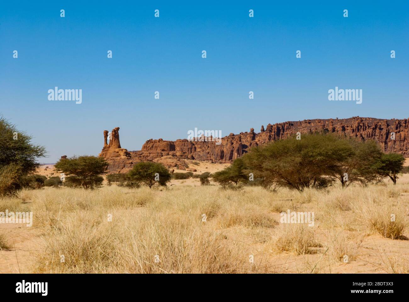 Natural rock formation and desert vegetation - dry grass and low trees ...
