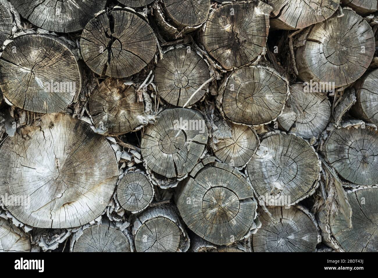 Stack of weathered oak timber logs Stock Photo - Alamy
