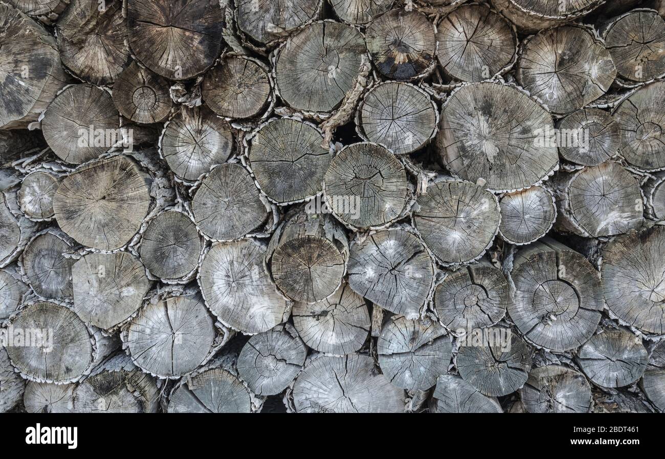 Stack of weathered oak timber logs Stock Photo - Alamy