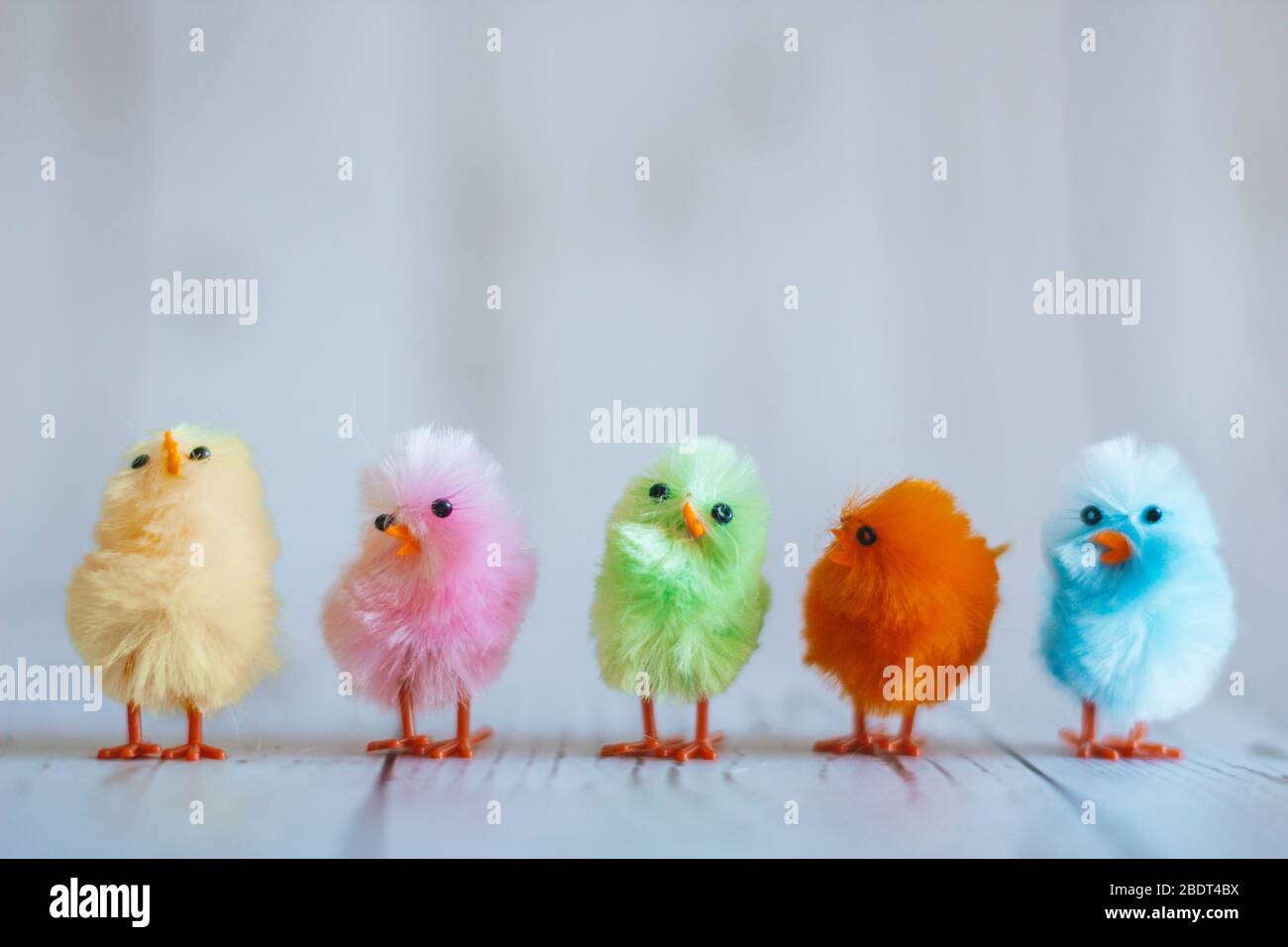 Cute, colorful Easter chicks in a row. Easter decoration Stock Photo ...