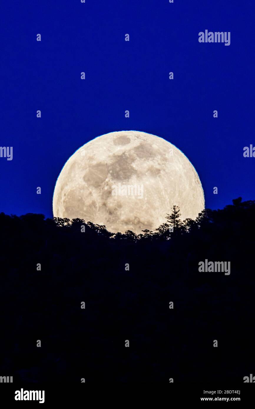 Full pink super moon rising over Rocky Mountains, Salida, Colorado, USA ...