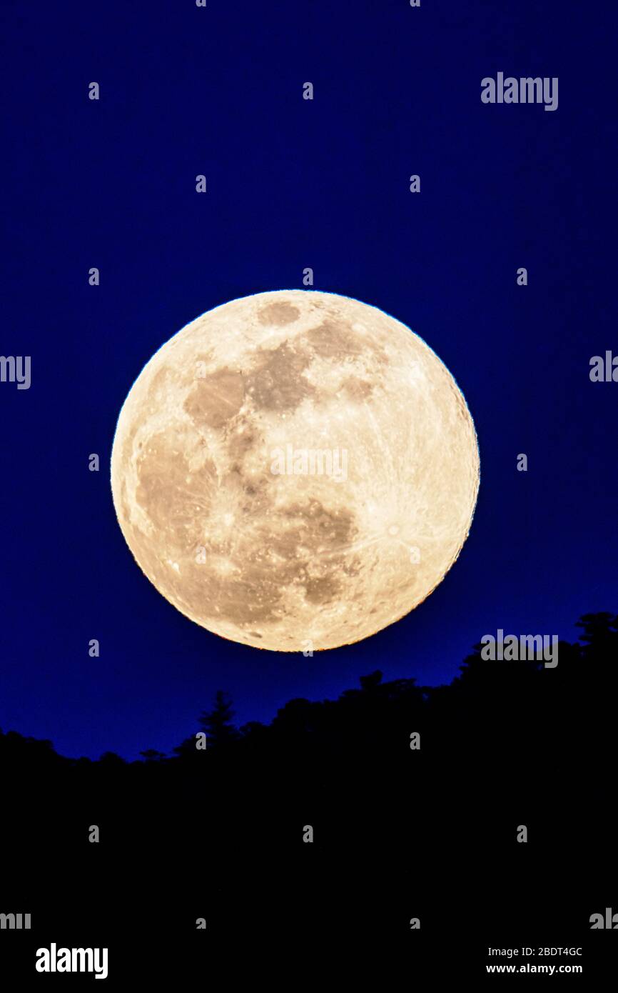 Pink supermoon full moon close up hi-res stock photography and images ...