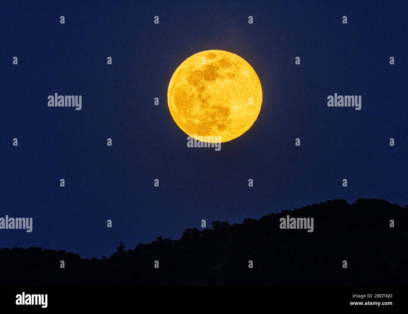 Full pink super moon rising over Rocky Mountains, Salida, Colorado, USA ...