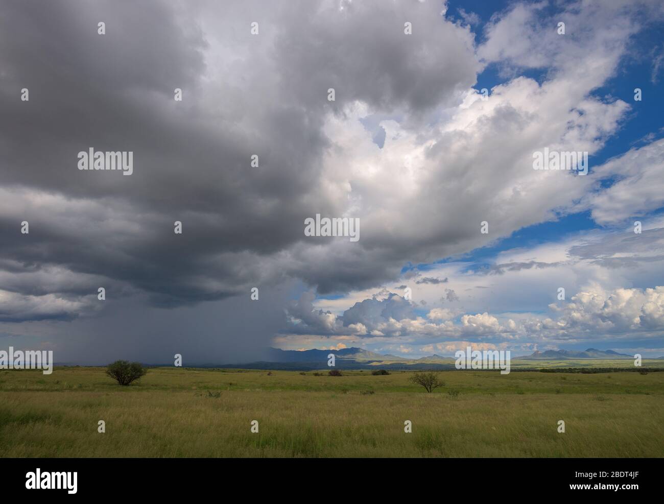 Incoming monsoon rains hi-res stock photography and images - Alamy