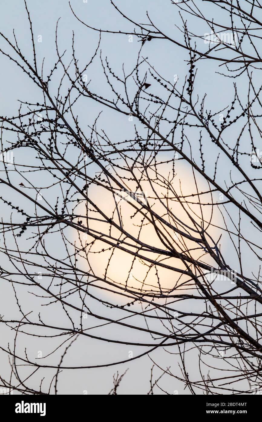 Full pink super moon setting over Rocky Mountains, Salida, Colorado ...