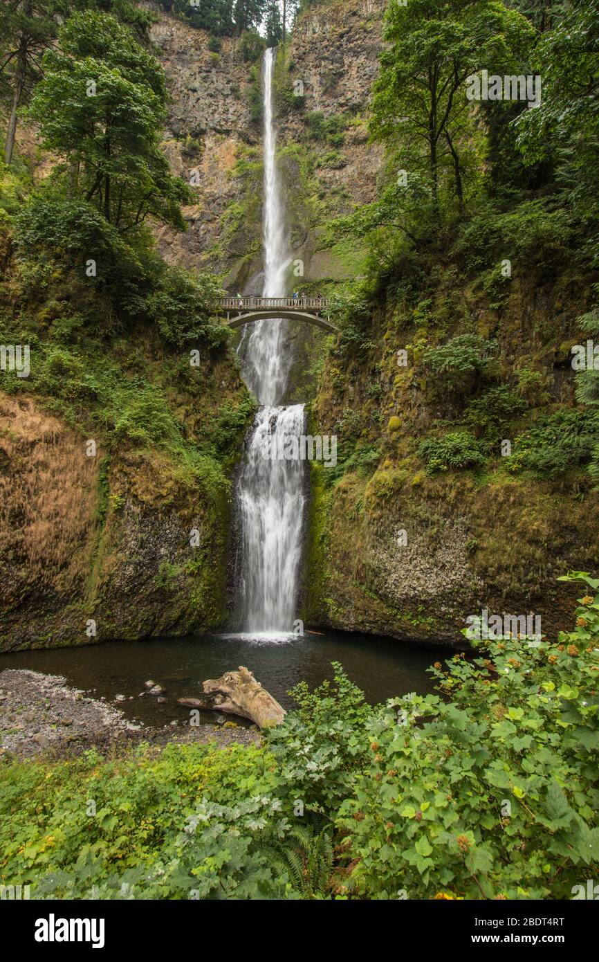Multnomah Falls, Oregon USA Stock Photo - Alamy