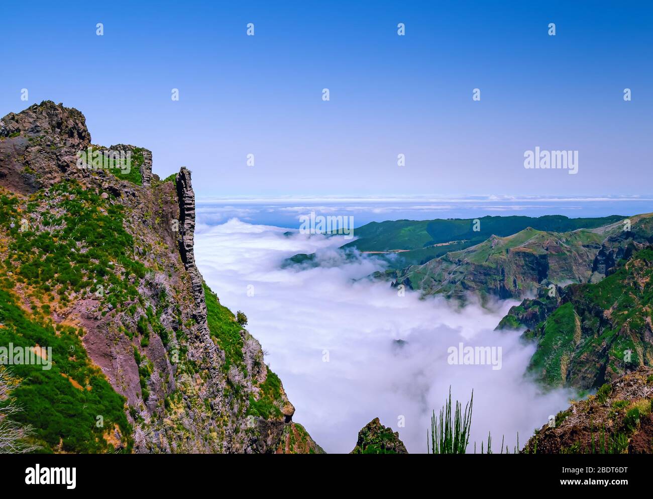 Madeira background hi-res stock photography and images - Alamy