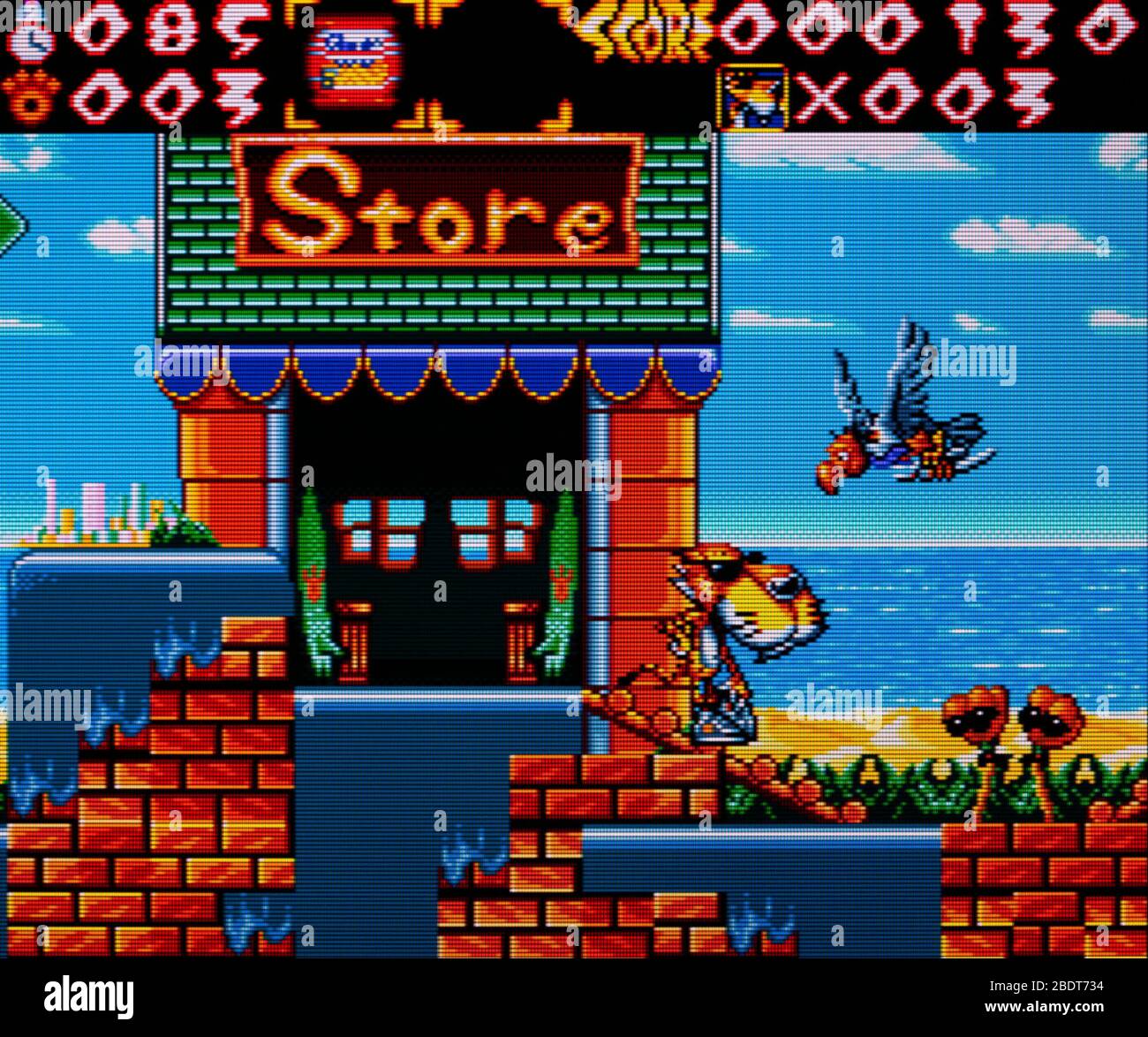 Chester Cheetah Wilw Wild Quest - Sega Genesis Mega Drive - Editorial use only Stock Photo - Alamy