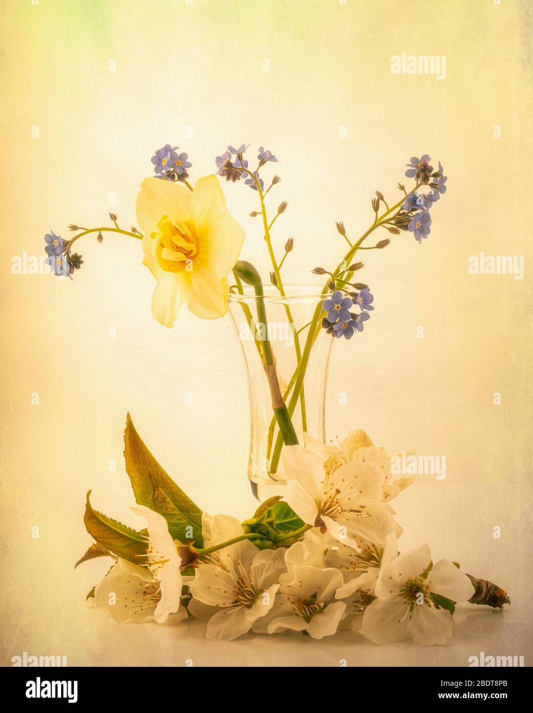 Still life spring hi-res stock photography and images - Alamy