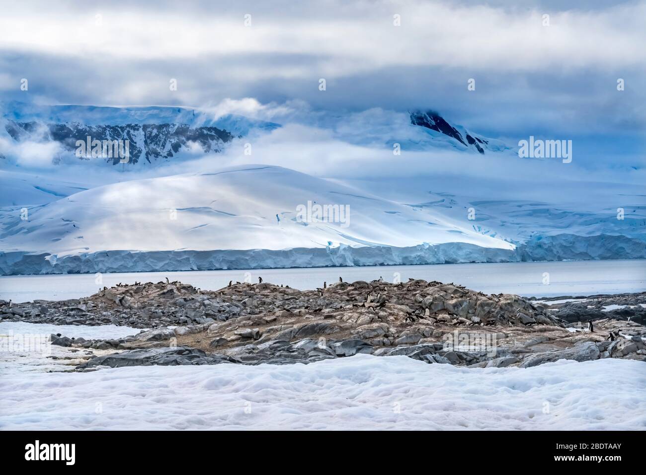 Snow Mountains Bay Gentoo Penguins Rookery Damoy Point Antarctic Peninsula Antarctica Stock ...