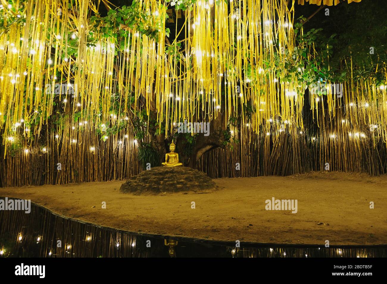 Buddha bodhi tree hi-res stock photography and images - Alamy