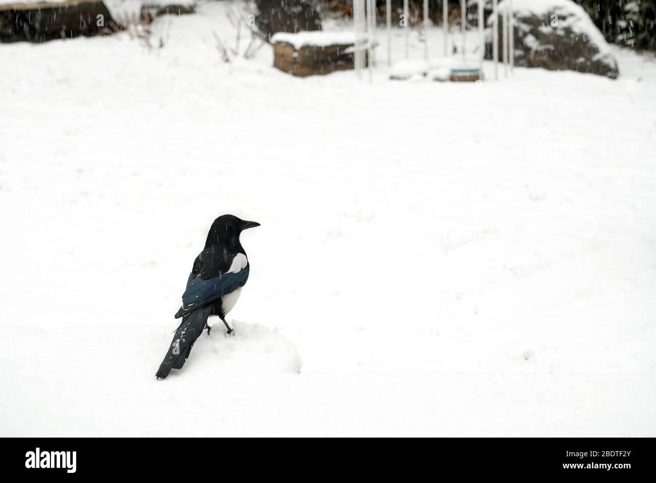 Moderate light hi-res stock photography and images - Alamy