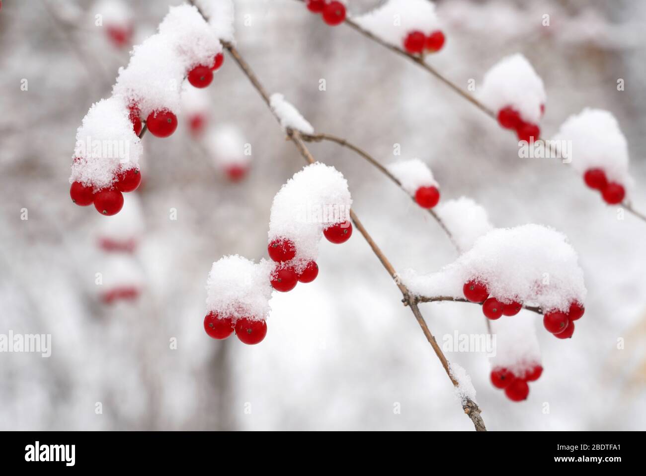 Silver solstice hi-res stock photography and images - Alamy