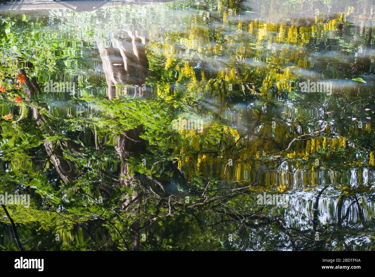 London water reflections hi-res stock photography and images - Alamy