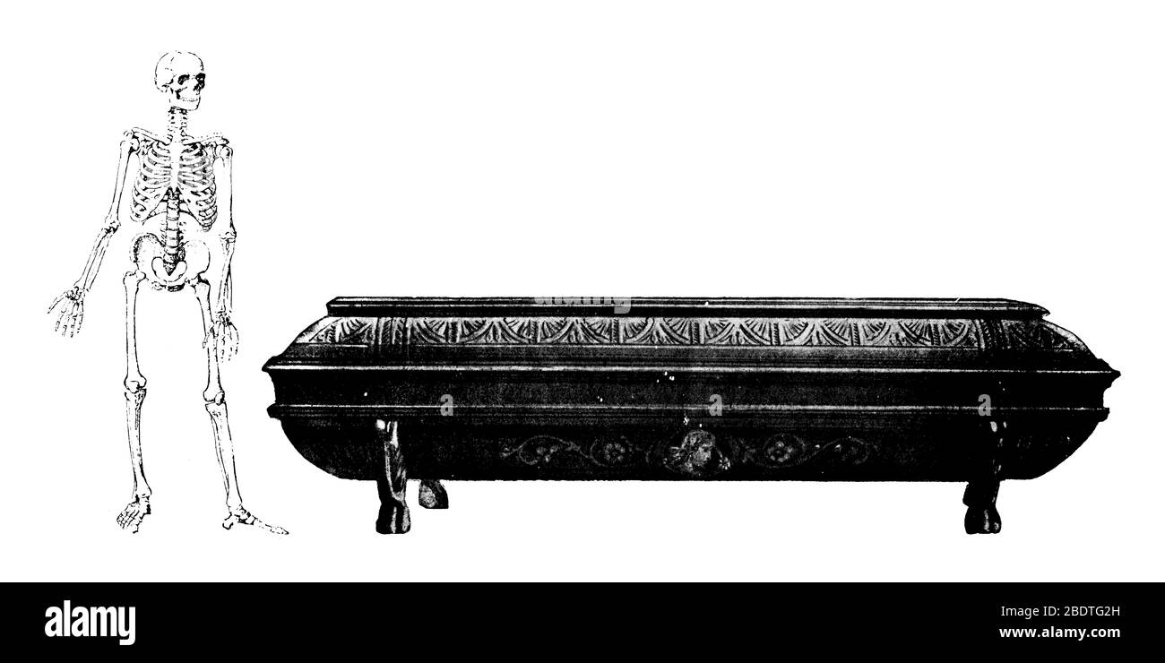 Vintage 1880s COFFIN with Human SKELETON - Illustration with space for ...