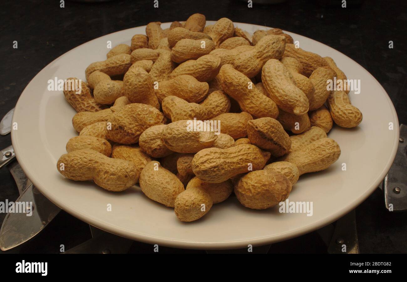 Monkey with curry hi-res stock photography and images - Alamy