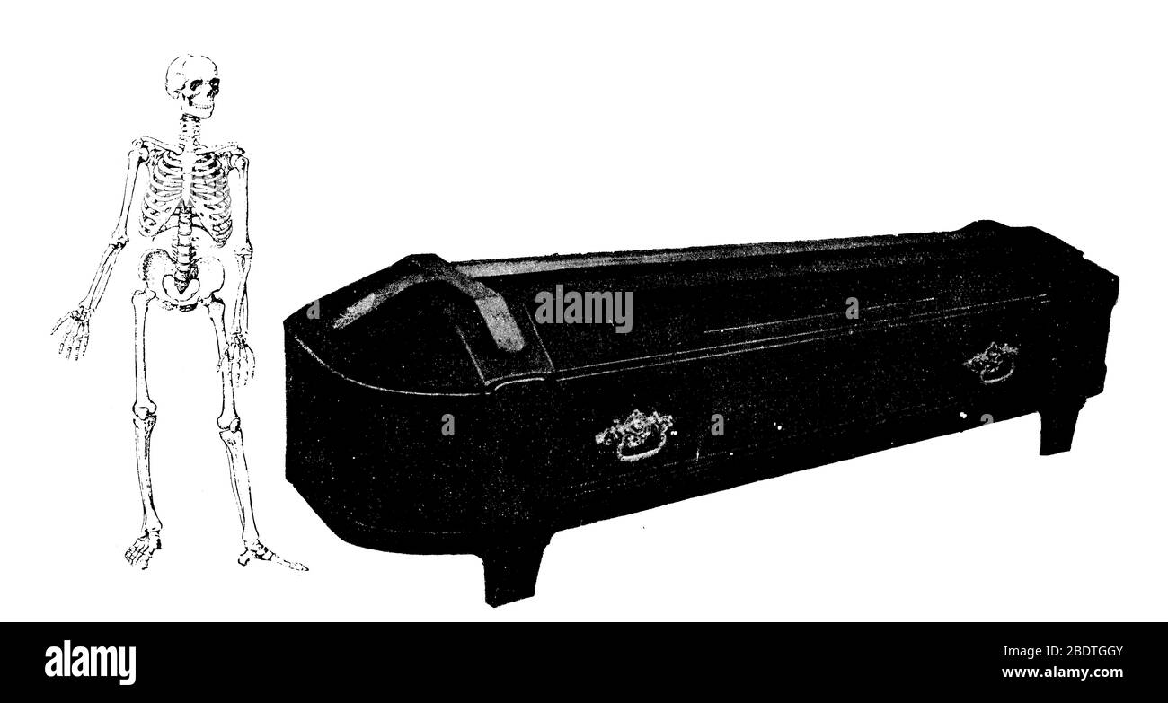 Vintage 1880s COFFIN with Human SKELETON - Illustration with space for ...