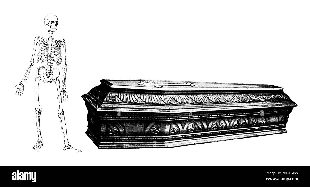 Vintage 1880s COFFIN with Human SKELETON - Illustration with space for ...