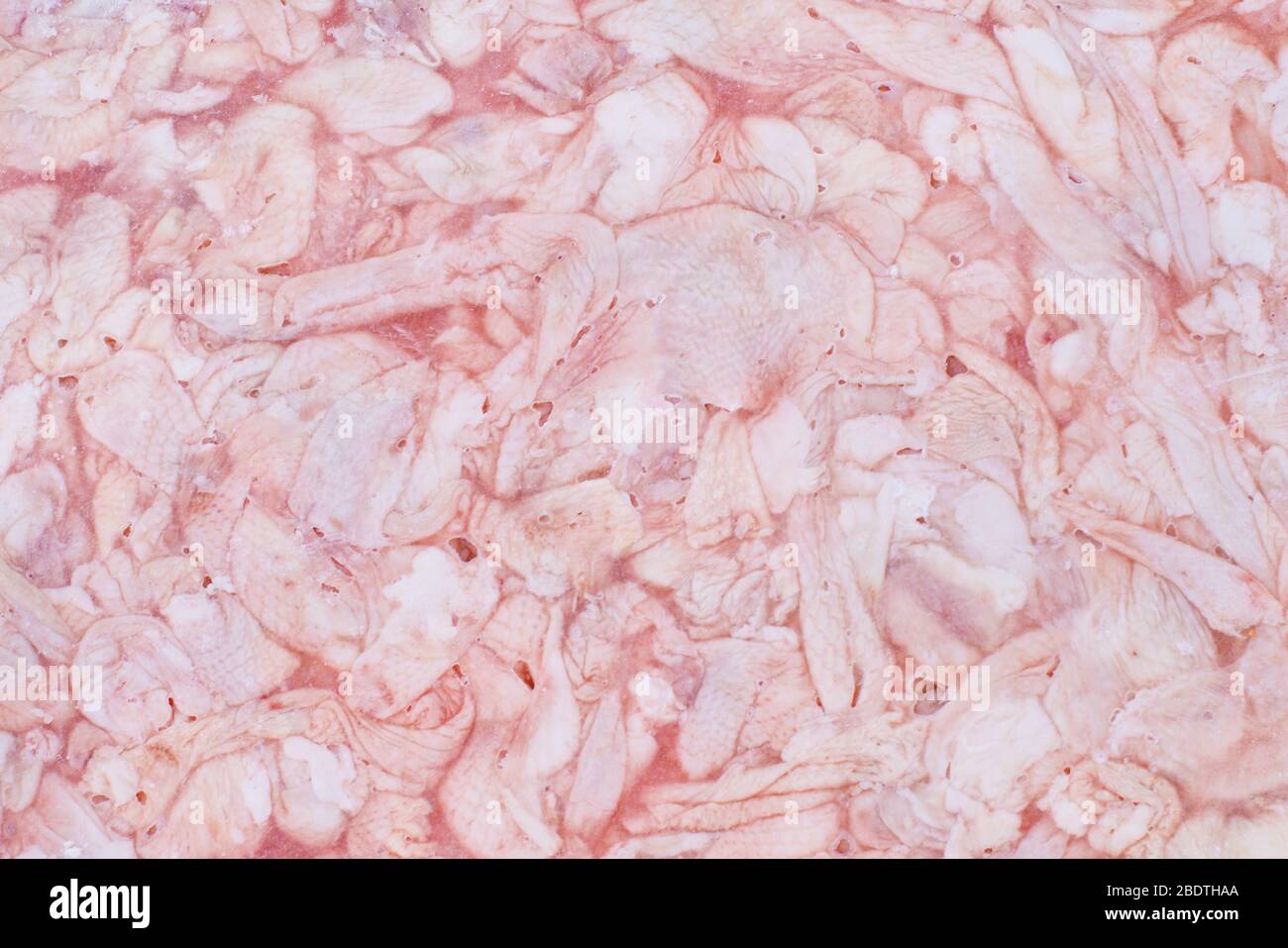Raw frozen chicken skin Polyblock .Raw Chicken frozen polyblock. Raw ...