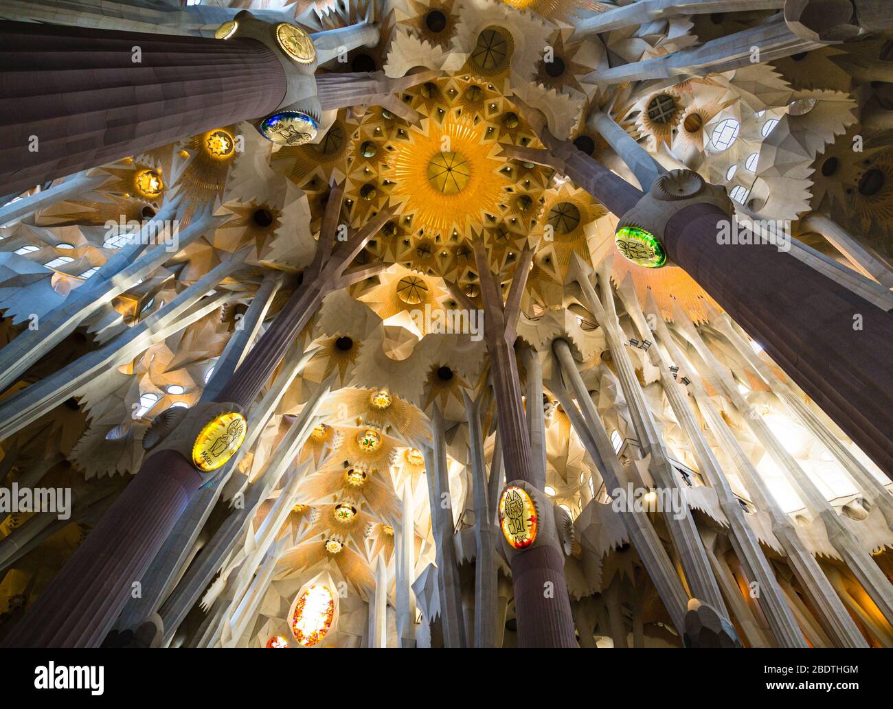 Interior view of the ceiling of La Sagra Familia basilica showing ...